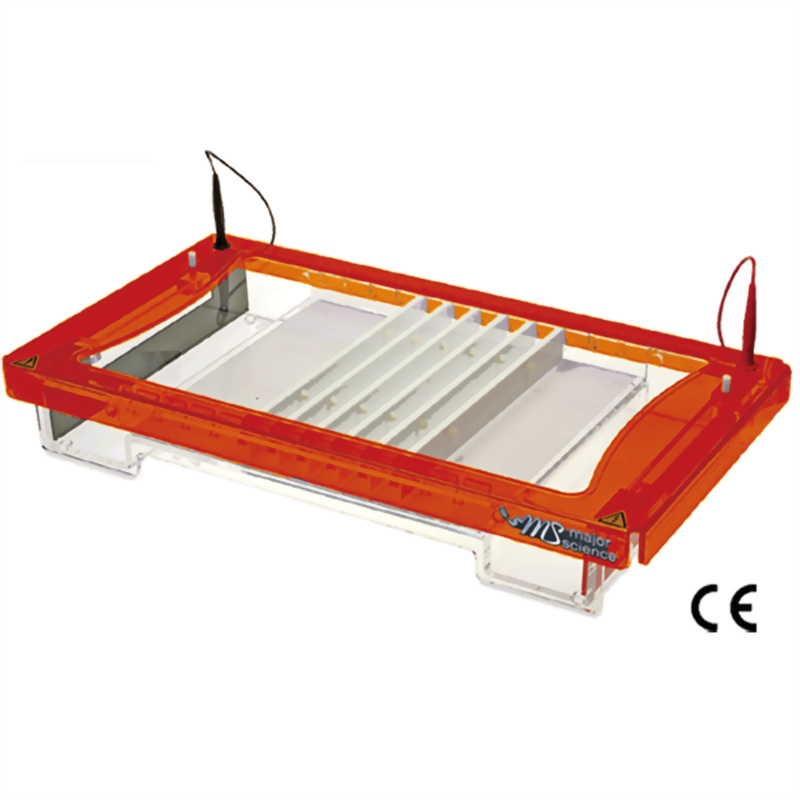 Maxi Horizontal Gel Electrophoresis System