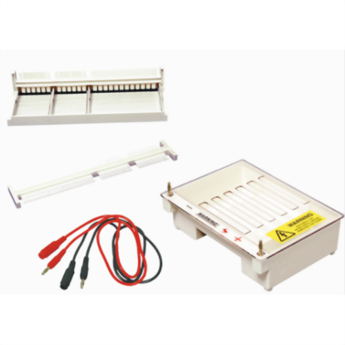 Mini Horizontal Gel Electrophoresis System