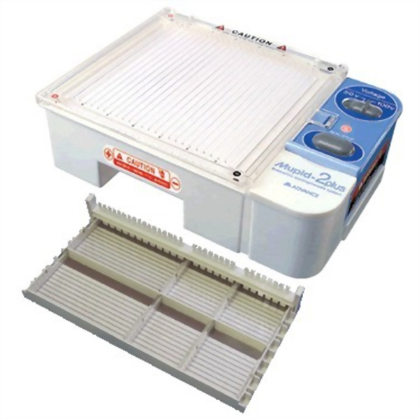 Mini Horizontal Gel Electrophoresis System
