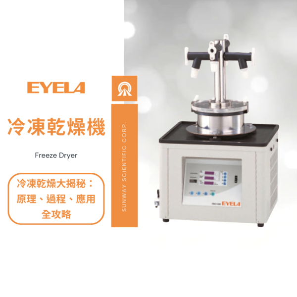 Freeze Drying: Principles, Process, and Applications