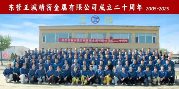 Twenty Years of Unwavering Commitment · Craftsmanship Forging the Future