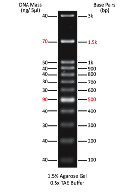 DNA RTU Ladder