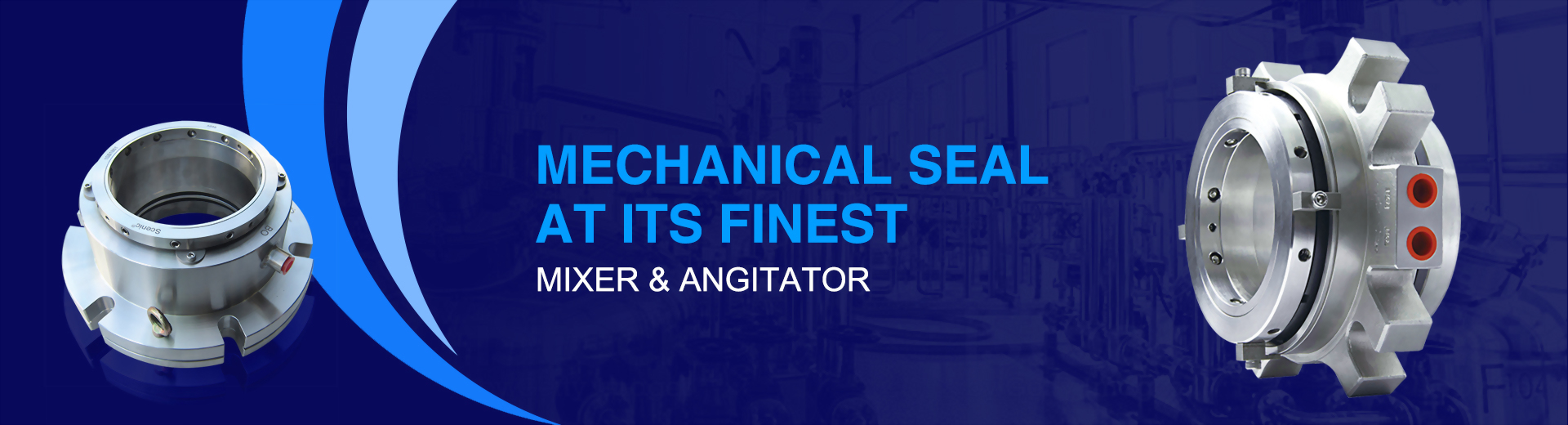 Scenic-Expert in Mechanical Seals