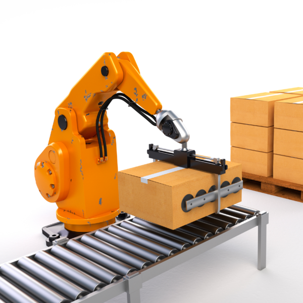 Conveyor & Robot Arm Palletizing