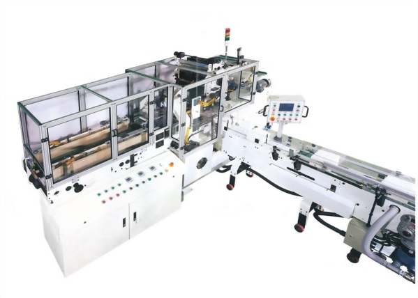 Standard Box Packing Machine
