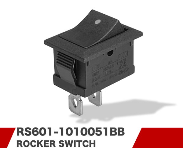 RS601-1010051BB