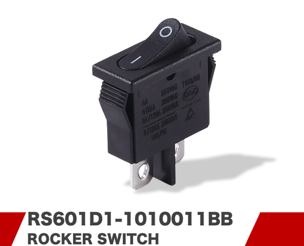 RS601D1-1010011BB