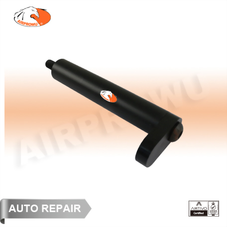 Rear Ride Height Torque Tool (For Tesla Model 3 & Y)