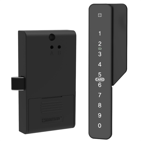 Smart Digital Time Lock 2-in-1 Lock - Password and Card (SDWP-011RFT)
