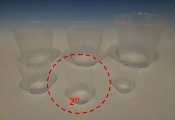 Soft Pots for 2'' - Shulong Flowers Industry