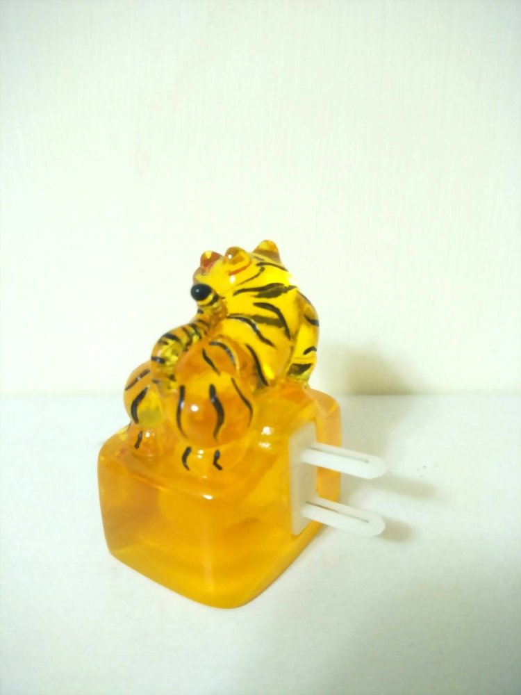 Tiger General Style Night Lights