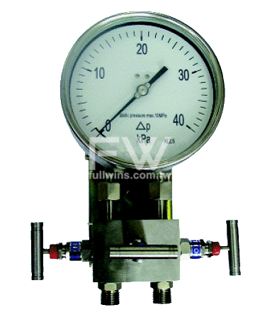 Differential Pressure Gauge with Diaphragm Element