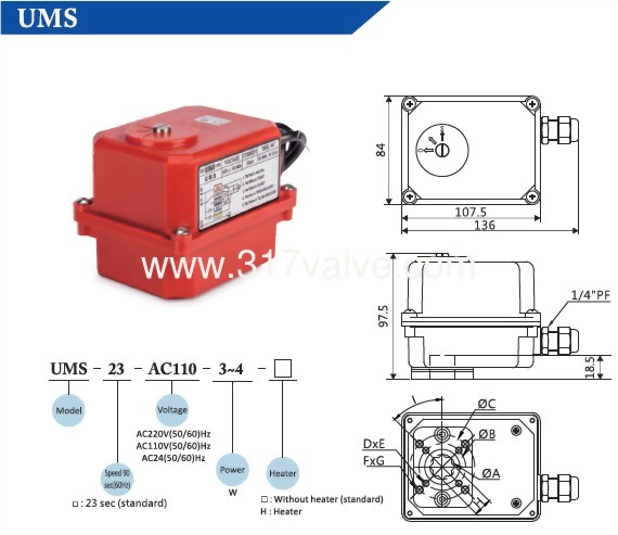 UMS Direct-Mount-Series - 317 Valve