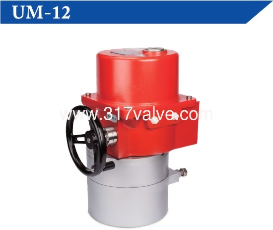 UM-12 - 317 Valve