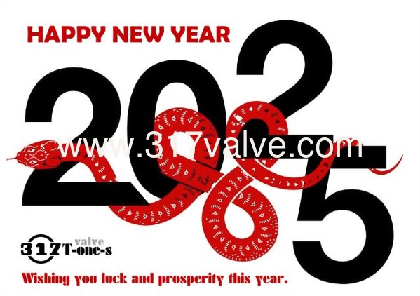 317 valve Annual Calendar Release 2025