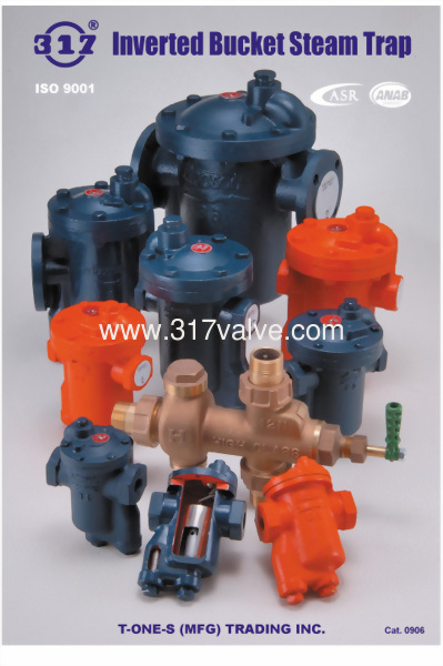 Inverted Bucket Steam Traps - 317 Valve