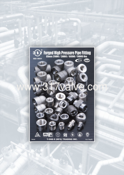 FG - 317 Valve