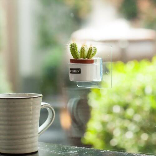 Reusable Adhesive Mount Mini Pot Holder- One-inch pot