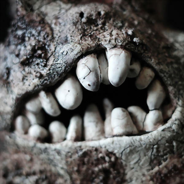 Bucktooth monster rabbits