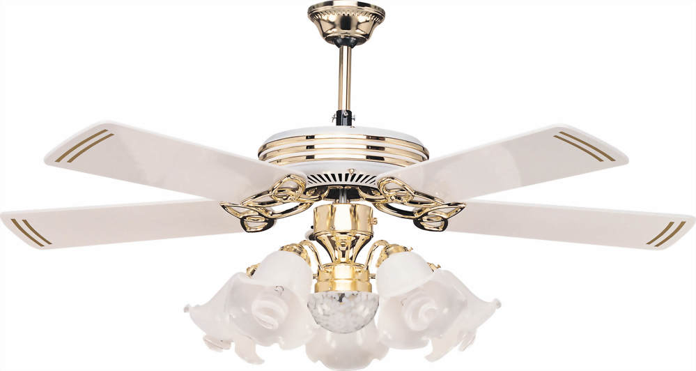 21245 / 21246 / 21247 / 21248 / 21249 / 21250