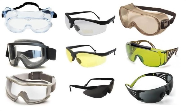 Protective Goggle - Taiwan Kingbird