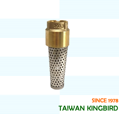 Premium Brass & Stainless Steel Foot Valves | Well Pump Protection ...