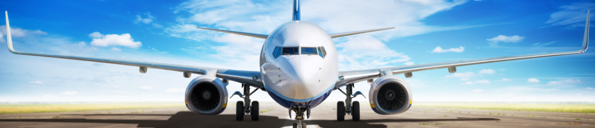 Aircraft Engine Casing