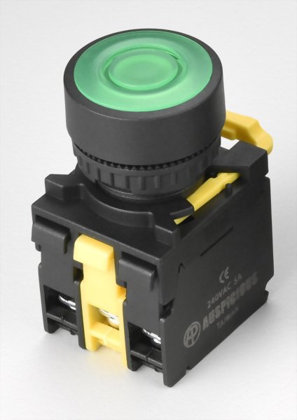 Illuminated Pushbutton Switches A2PPFL11