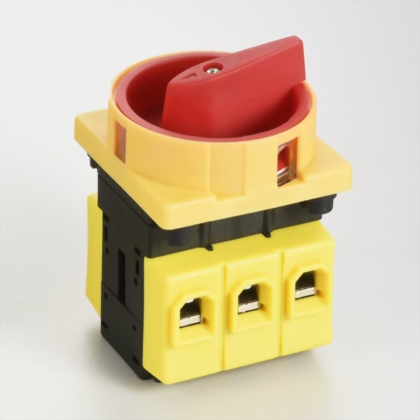 Panel Mounting Main Switch DS63-80-PR1R