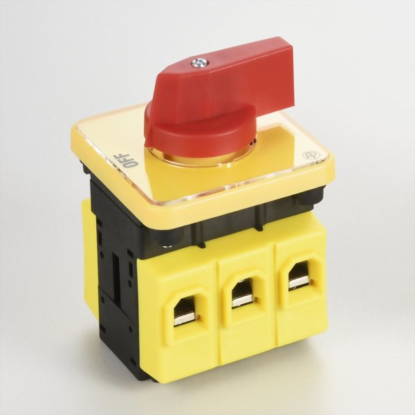 Panel Mounting Main Switch DS63-80-PSR