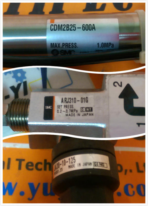 SMC CDM2B25-600A / ARJ310-01G / JA30-10-125 CYLINDER