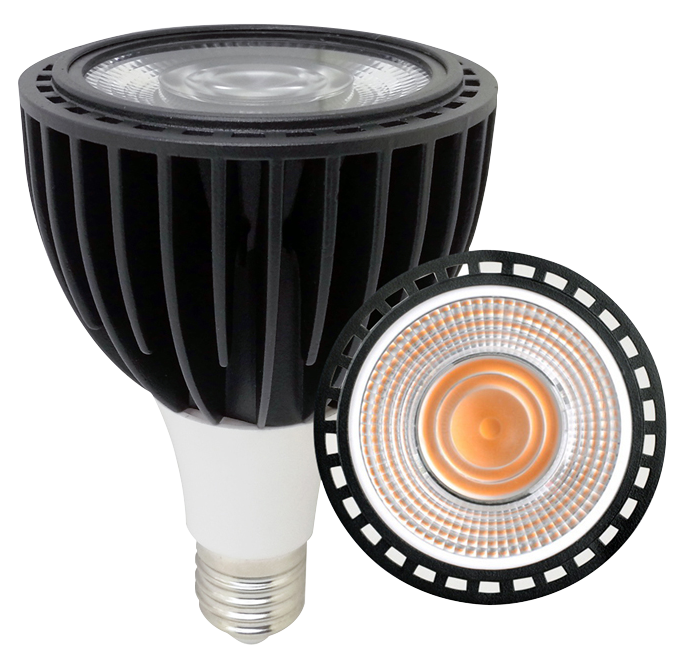 25W PAR30