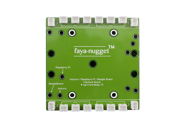 Interface Board