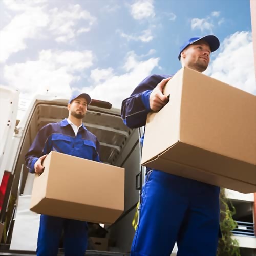 Biodegradable Products, Biodegradable Packaging Material - Artech PMS