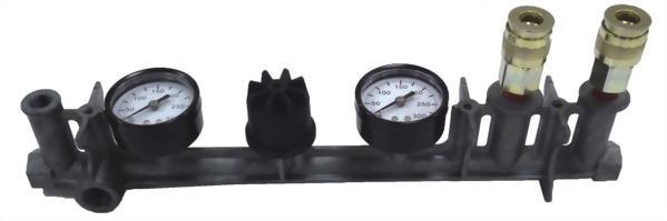 MANIFOLD REGULATOR ASSEMBLY