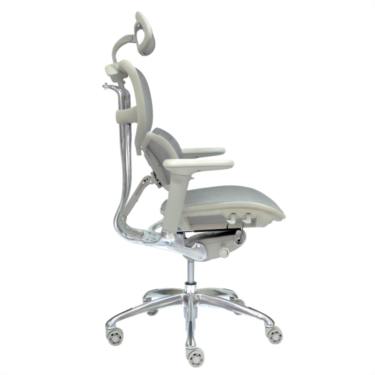 Comfy Rolling Chair gives you effective lumbar back support - Young Mind