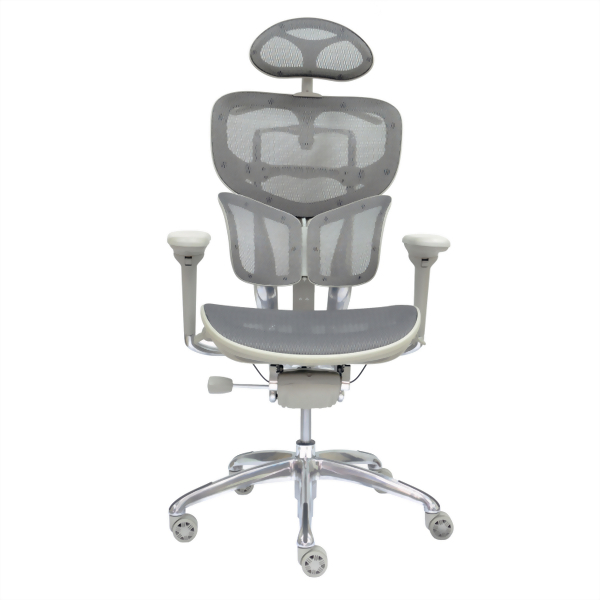 Comfy Rolling Chair gives you effective lumbar back support - Young Mind