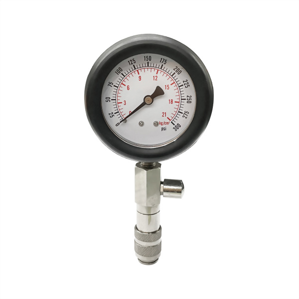 Pressure Gauge Assembly