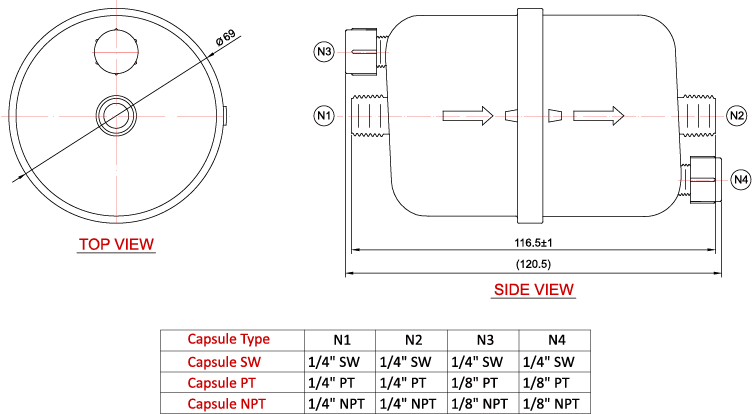 Pleated Filter Cartridge: Capsule Series