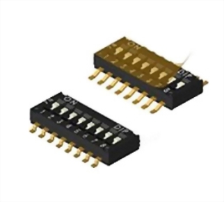 BDS-DHNF - 恩瑞股份有限公司