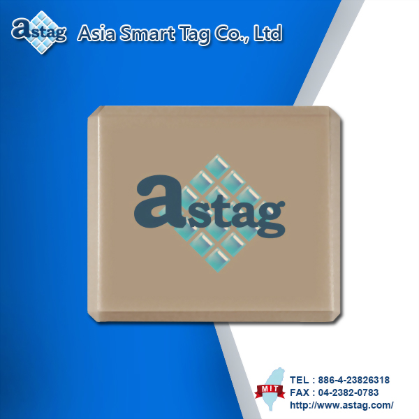 RFID Metal Tag (UHF) - Asia Smart Tag Co., Ltd.