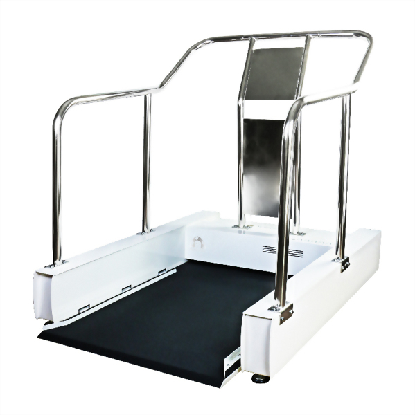 Accessible Exercise Platform for Elderly Rehabilitation - TURTLE GYM
