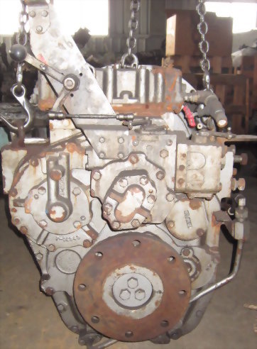 MGN80
