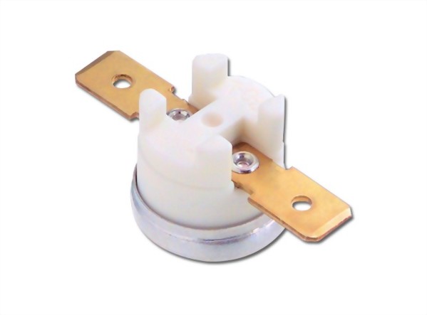 Snap-Action Temperature Controls