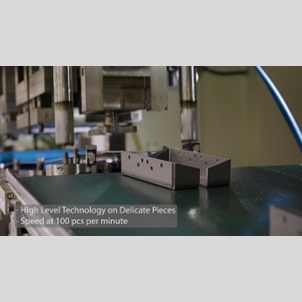 Polish Metal Stamping Manufacturer Enhances Efficiency with SEYI Servo ...
