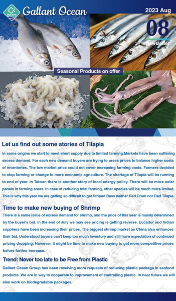 Gallant Ocean Newsletter Aug 2023