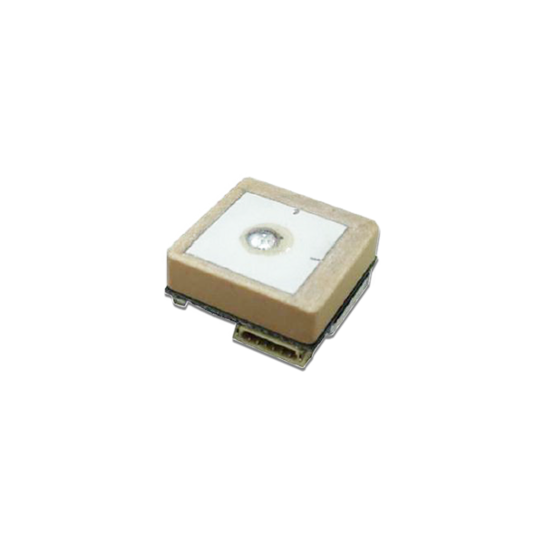 GPS Module